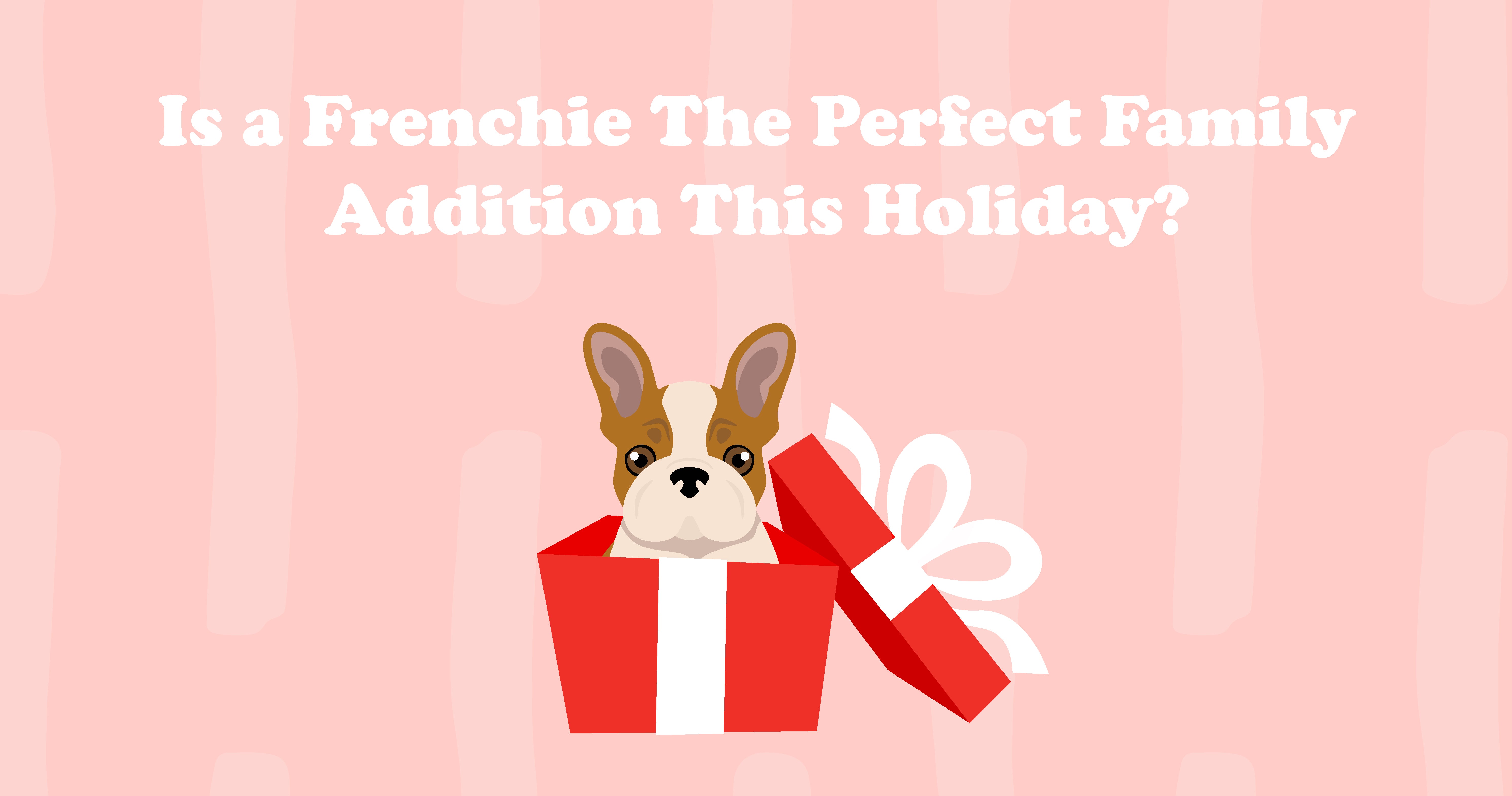 Is A Frenchie The Perfect Family Addition This Holiday? – Frenchie Bulldog