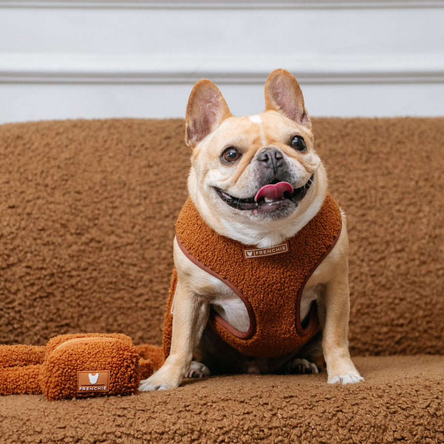 Frenchie Friday! – Frenchie Bulldog