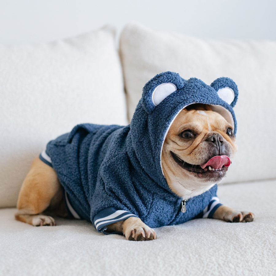 Frenchie Dog Hoodie - Blue Teddy – Frenchie Bulldog
