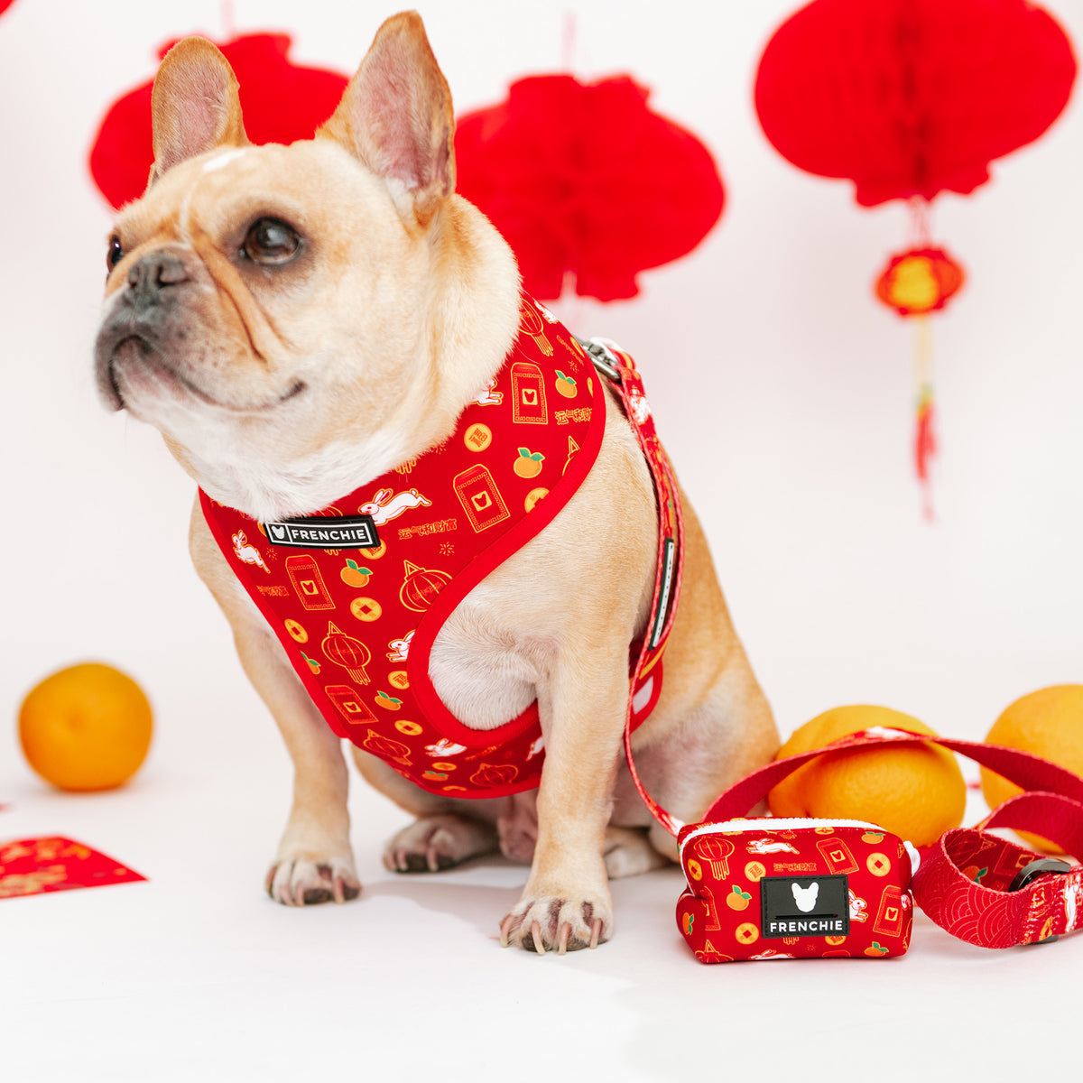 Frenchie Poo Bag Holder - Year of the Rabbit – Frenchie Bulldog